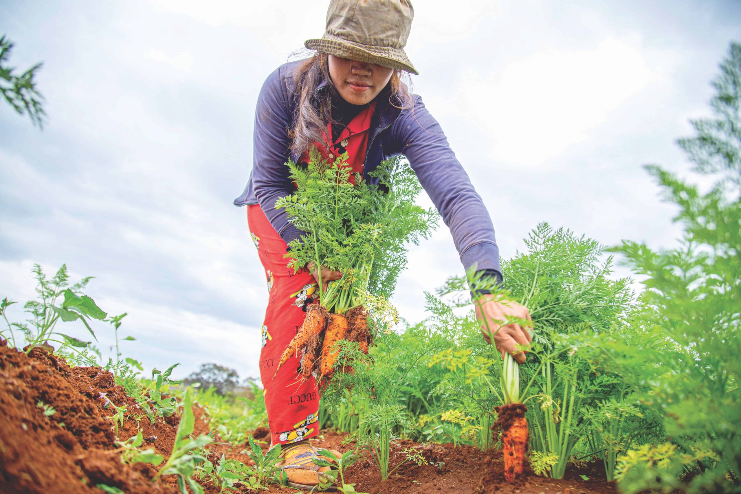 Eco-Friendly Ways to go Green in your Garden this Spring - Deedster